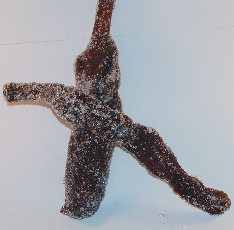 Tototes de fruit à pain - Confiseries traditionnelles